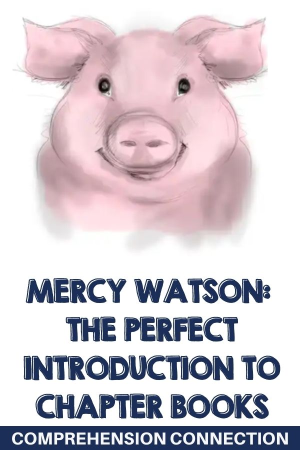 Mercy Watson: The Perfect Introduction To Chapter Books