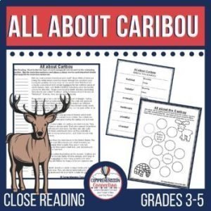Polar Bears Close Reading Activity, Winter Close Reading, Informational ...