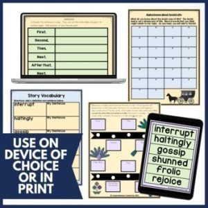 Just Plain Fancy By Patricia Polacco Activities In Digital And PDF ...