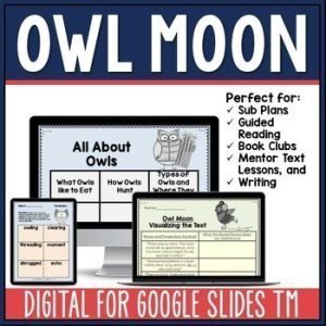 Owl Moon By Jane Yolen Reading Activities In Digital And PDF ...