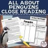 Close Reading With Polar Animals, A Perfect Activity For Winter