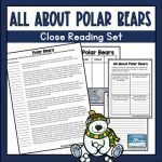 Close Reading With Polar Animals, A Perfect Activity For Winter