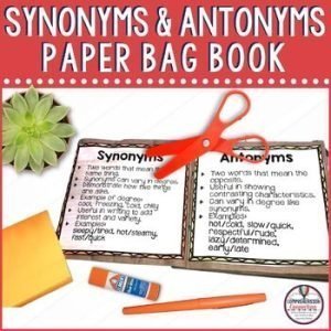 Synonyms And Antonyms Project Paper Bag Book Synonym And Antonyms ...