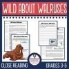 Walruses Close Reading Set, Walrus Activity, Polar Animals ...