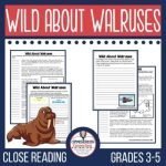 Walruses Close Reading Set, Walrus Activity, Polar Animals ...