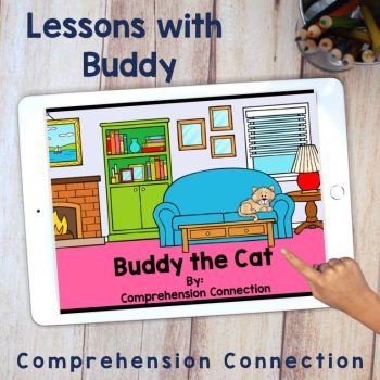 9 Ways Boom Cards Can Support Your Amazing Readers